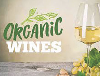 【Mabel Lai @ Winenow 酒經月刊】葡萄酒最新趨勢 – Hong Kong Wine Academy 香港葡萄酒教育中心