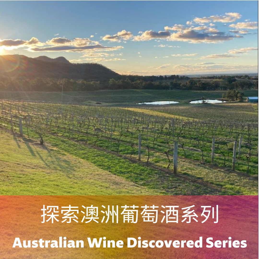 Australian Wine Discovered Series 2 – Hong Kong Wine Academy 香港葡萄酒教育中心