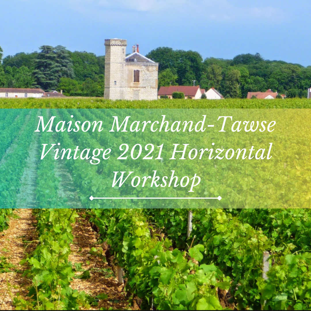Maison Marchand-Tawse Vintage 2021 Horizontal Workshop – Hong Kong Wine ...